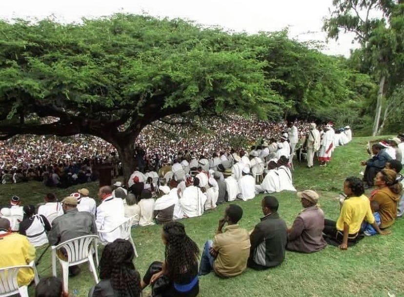 Home - North California Oromo Self Help Association
